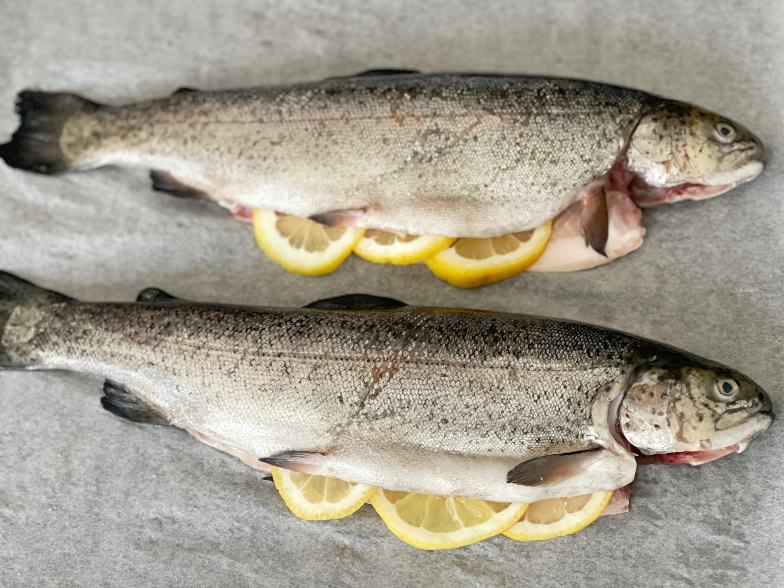 Forelle aus dem Ofen - ANA + NINA